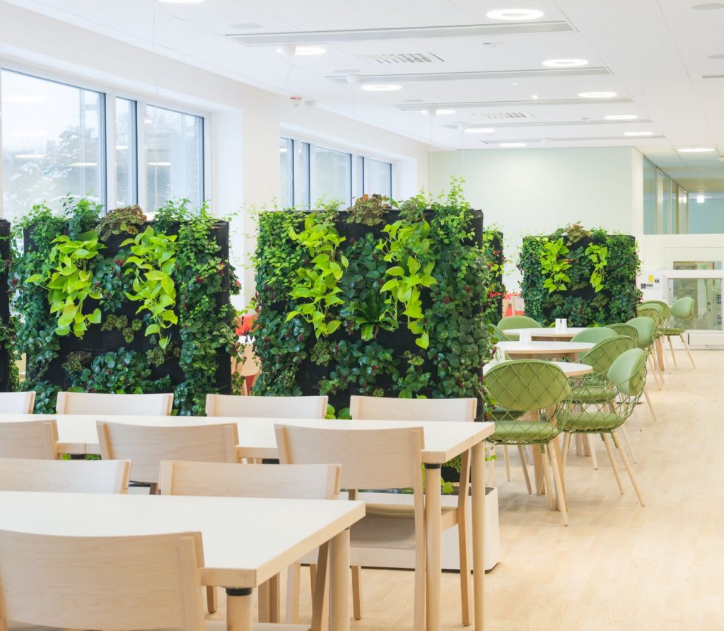 Biophilic Office Design | Green Office Design | Aztec Plants