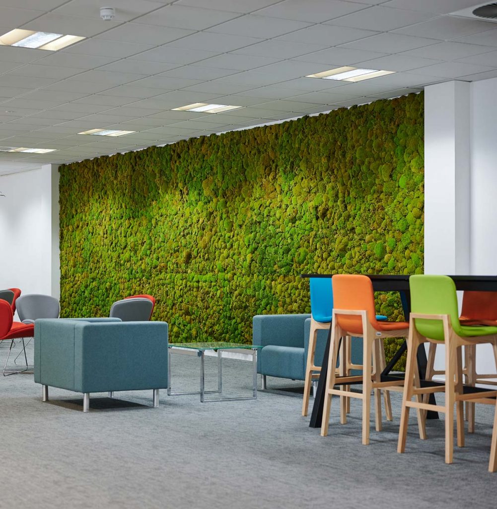 Biophilic Office Design | Green Office Design | Aztec Plants