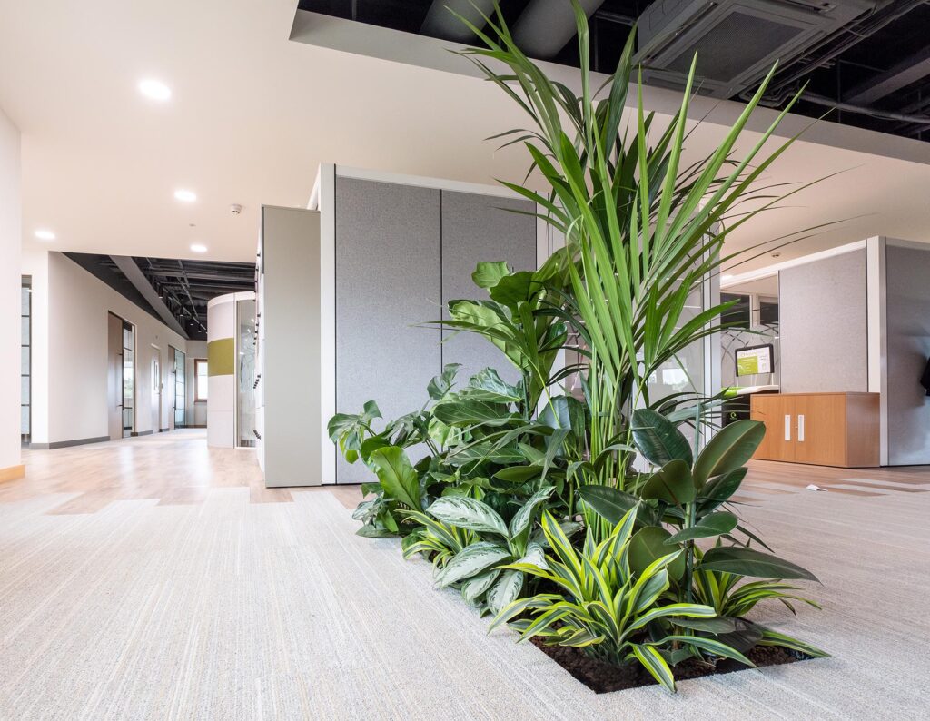 Transformation Of RAND Europe's Office Space With Innovative Plant ...