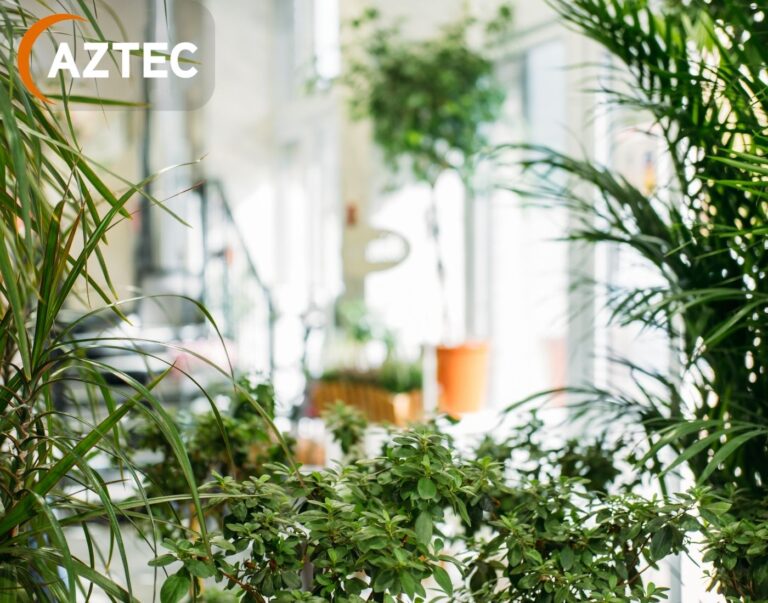 The Aesthetics Of Biophilic Design In Modern Offices - Aztec Plants