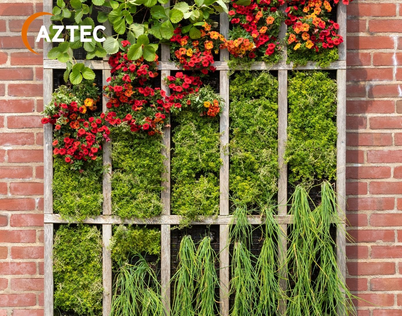 Maximising Small Spaces: The Essentials of Vertical Gardening | Aztec ...